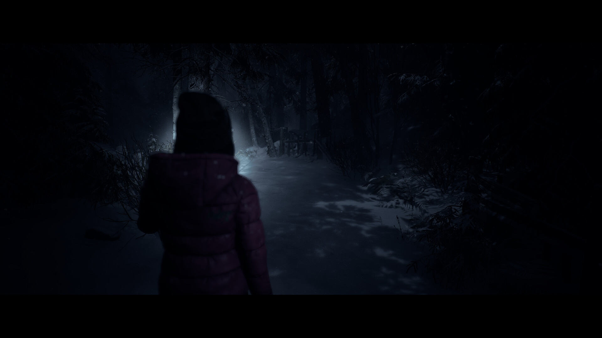 直到黎明:重制版官方中文支持手柄until Dawn™插图6